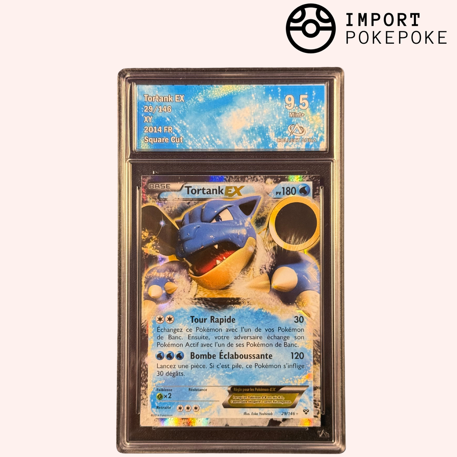 Tortank 29/146 SQUARE CUT - XY – Hikaru